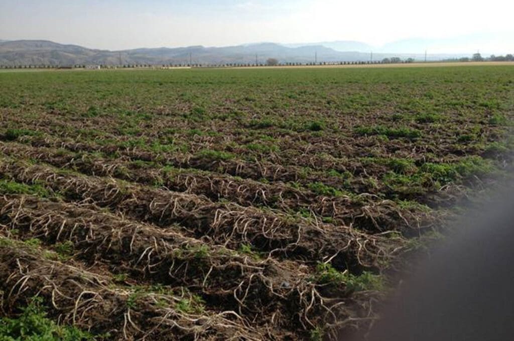 Crop Damage - Ag Pro Systems